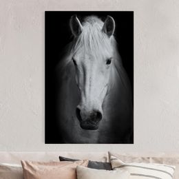 Bilderwelten Akustikbild Tiere schwarz weiss Motiv Schallschutzbild - Dream of a Horse - Pferde Wohnzimmer Schlafzimmer