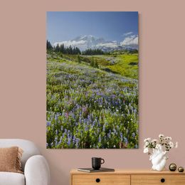 Akustikbild Bergwiese mit Blumen vor Mt. Rainier