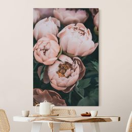 Bilderwelten Akustikbild Blumen rosa modern Schallschutzbild - Ein Bouquet aus Pfingstrosen - Rose Wohnzimmer Schlafzimmer