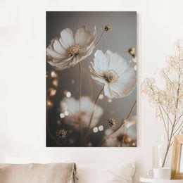 Bilderwelten Akustikbild Blumen beige modern Schallschutzbild - Blumen mit Bokeh - Wandbild Wohnzimmer Schlafzimmer