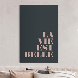 Bilderwelten Akustikbild Spr&uuml;che rosa modern Schallschutzbild - La Vie est Belle Spruch - Motivation Wohnzimmer Schlafzimmer