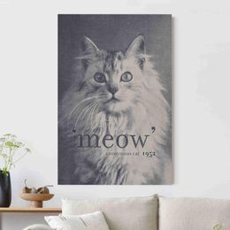 Bilderwelten Akustikbild originell grau modern Schallschutzbild - Anonymous Cat - Wandbild Wohnzimmer Schlafzimmer