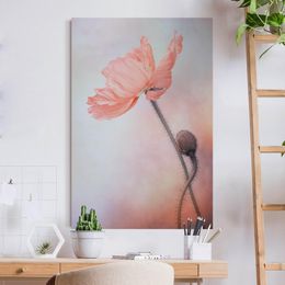 Bilderwelten Akustikbild Blumen pastell modern Schallschutzbild - Mohnblumen Close-Up - Mohn Wohnzimmer Schlafzimmer