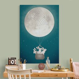 Akustikbild Illustration Hasen Mond-Hei&szlig;luftballon Sternenhimmel