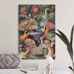 Bilderwelten Akustikbild Tiere bunt Vintage Schallschutzbild - Nymphe mit Seeanemonen - Pflanzen Wohnzimmer Schlafzimmer