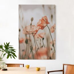 Bilderwelten Akustikbild rot Motiv Schallschutzbild - Mohnbl&uuml;ten im Sommerwind - Mohn Wohnzimmer Schlafzimmer