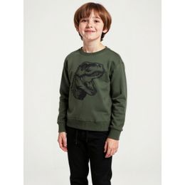 Sweatshirt Blue Seven, Jungen, Gr. 110, schilf, Sweatware, Obermaterial: 80% Baumwolle, 20% Polyester, bedruckt, regular fit normal, Rundhals, Rippbündchen, Sweatshirts, mit großem Dino-Frontmotiv