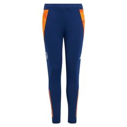 adidas Performance Workout Pants 'Juventus Tiro 24 Competition' boy Blue size 176