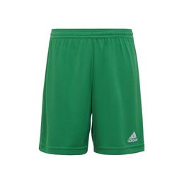 adidas Performance Sporthose 'Entrada 22' Jungen Gr&ouml;&szlig;e 164 grasgr&uuml;n