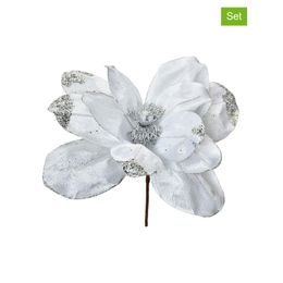 Clayre & Eef Clayre & Eef 2er-Set: Dekopflanzen in Wei&szlig;/ Silber - (H)25 cm - 13% | Wohndekoration