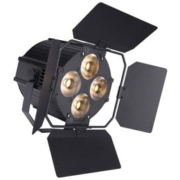 LIGHT4ME P4 WW LED B&uuml;hnenstrahler PAR Warmwei&szlig;