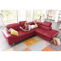 Ecksofa COTTA "Driver L-Form", rot, B:268cm H:73cm T:214cm, Kunstleder SOFTLUX;LEDER BEEFY (ein abgedecktes Spalt-Rindsleder) im Sitz und R&uuml;cken (Korpus in Kunstleder);Luxus-Kunstleder;NaturLEDER (echtes Rindsleder) im Sitz und R&uuml;cken (R&uuml;ckseite mit Spannstoff bezogen), Sofas, Ecksofa, mit Kopfteilverstellung, wahlweise mit Bettfunktion & Bettkasten, Topseller