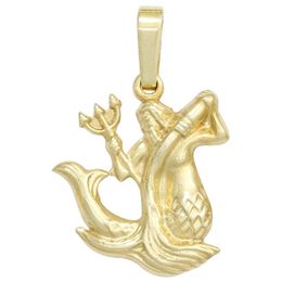 Sternzeichenanh&auml;nger Jobo "Anh&auml;nger Sternzeichen", gelbgold 333, Schmuckanh&auml;nger, Damen, Wassermann, Gelbgold 333, 333 Gold