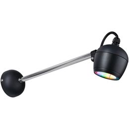 LED Gartenleuchte Paulmann, H:9cm T:41,6cm Ø:9cm, grau, Leuchten, "Outdoor 230V Wall Kikolo RGBW ZigBee", ZigBee RGBW