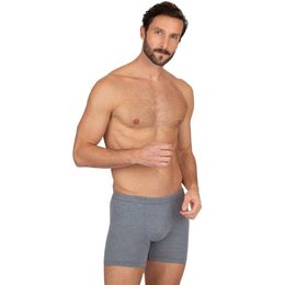 TRIGEMA Herren Boxer "TRIGEMA Herren Pant in bequemer Stretch-Qualit&auml;t", Gr. XXXL, grau, 95% Baumwolle, 5% Elasthan, Unterhosen