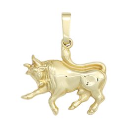 Sternzeichenanh&auml;nger Jobo "Anh&auml;nger Sternzeichen", gelbgold 333, Schmuckanh&auml;nger, Damen, Stier, Gelbgold 333, 333 Gold