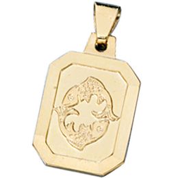 Jobo Damen Sternzeichenanh&auml;nger "Anh&auml;nger Sternzeichen", Fische, Gelbgold 333gelbgold 333, Gelbgold 333, Schmuckanh&auml;nger, 333 Gold achteckig