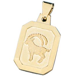 Jobo Damen Sternzeichenanh&auml;nger "Anh&auml;nger Sternzeichen", Steinbock, Gelbgold 333gelbgold 333, Gelbgold 333, Schmuckanh&auml;nger, 333 Gold achteckig