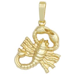 Sternzeichenanh&auml;nger Jobo "Anh&auml;nger Sternzeichen", gelbgold 333, Schmuckanh&auml;nger, Damen, Skorpion, Gelbgold 333, 333 Gold