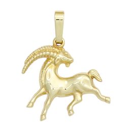 Sternzeichenanh&auml;nger Jobo "Anh&auml;nger Sternzeichen", gelbgold 333, Schmuckanh&auml;nger, Damen, Steinbock, Gelbgold 333, 333 Gold