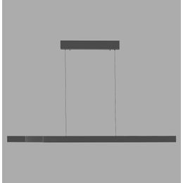 Paul Neuhaus Adriana Square Pendelleuchte LED Anthrazit, 6-flammig
