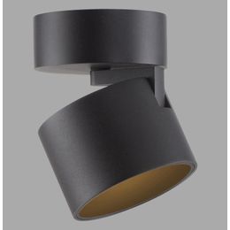 Paul Neuhaus PURE Cup Deckenleuchte LED Schwarz, 1-flammig