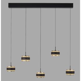 Paul Neuhaus PURE Falling Rings Pendelleuchte LED Schwarz, Transparent, Klar, 5-flammig, Fernbedienung