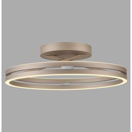 Paul Neuhaus PURE Loop Deckenleuchte LED Bronze, 2-flammig, Fernbedienung
