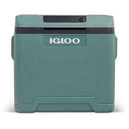 Igloo IE42 AC/DC Thermoelektrische K&uuml;hlbox 12 V und 230 V Anschluss 42 Liter spruce - Thermoelektrische K&uuml;hlboxen