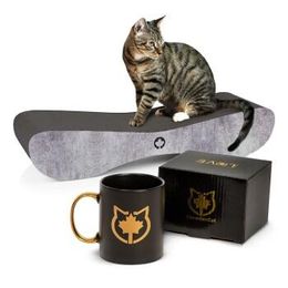 Canadian Cat Company Kratzbrett Kratzbrett Set Satellite 2.0 + Tasse grau/ schwarz