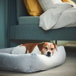IKEA UTS&Aring;DD Hundebett