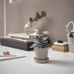 IKEA KLOTLÖNN Blumentopf mit Untersetzer