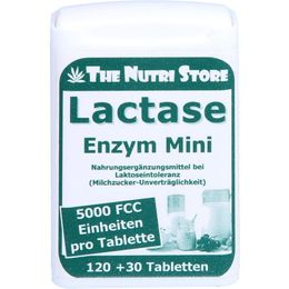 Hirundo Lactase 5.000 Fcc Enzym Mini Tabl.im Dosierspender 120 St