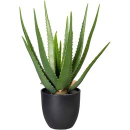 Creativ green K&uuml;nstliche Zimmerpflanze &raquo;Aloe&laquo; gr&uuml;n Obermaterial: 100% Kunststoff