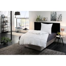 Ribeco Kunstfaserbettdecke &raquo;Isabel&laquo; 4-Jahreszeiten 1 Stk. tlg. Luxus Daunenfeeling mit nat&uuml;rlichem Milbenschutz! wei&szlig; Bezug: 100% Polyester....
