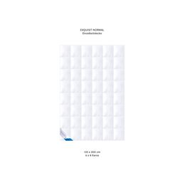 B&ouml;hmerwald B&ouml;hmerwald EXQUISIT Ganzjahresbettdecke ''MEDIUM'' in Wei&szlig; | Gr.: 200 x 200 cm