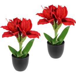 Kunstblume I.GE.A. "Amaryllis im Topf", rot, B:17cm H:28cm L:14cm, Polyester, Kunstpflanzen