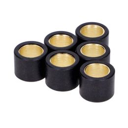 Variomatikgewichte 19x15,5 - 10,20g