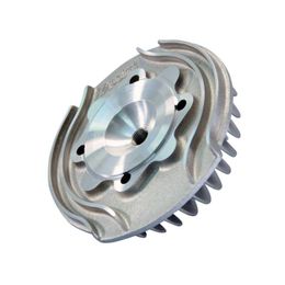 Zylinderkopf Polini Evolution f&uuml;r Vespa Primavera 125 2T, Primavera 125 ET3 2T
