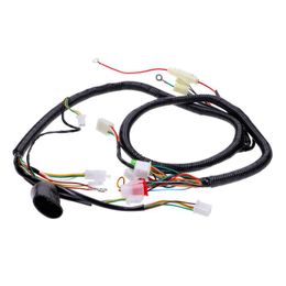 Hauptkabelbaum f&uuml;r Jinlun Fighter 50, Benzhou YY50QT, Baotian BT49QT, Generic, Nova Motors, Znen