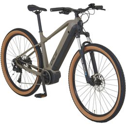 Prophete E-Bike "Dice 3.0", 48cm, 29 Zoll (73,66cm), schwarz, Elektrofahrräder