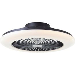 Brilliant LED Deckenleuchte "Salerno", Ø 48cm H: 13cm, 1 Stk., schwarz, Wohnzimmer, Leuchten, Ventilator, 49 cm, digitales RGB, CCT, 4700 lm,