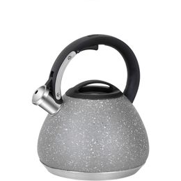 Wasserkessel "Lyra, Fl&ouml;tenkessel 2,7 l mit w&auml;rmespeicherndem Boden im Geschenkkarton", 2,7 l + &Oslash; 19,5cm + H&ouml;he 24cm, grau, RESTO KITCHENWARE, T&ouml;pfe,