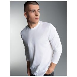 T-Shirt TRIGEMA "TRIGEMA Langarmshirt aus 100% Baumwolle", Herren, Gr. L, weiß, 100% Baumwolle, Basic, Shirts