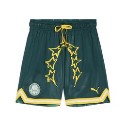Sporthose Puma "Puma HOOPS x SE PALMEIRAS Basketballshorts Herren", Damen, Gr. M, Normalgrößen, malachite jade grün aop, Innenmaterial: 100% Polyester; Außenseite: 100% Polyester; Taschenfutter: 100% Polyester, regular fit, Hosen Sporthose