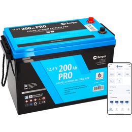 Berger LiFePO4 Lithium Batterie Pro 200 Ah 12 V mit Bluetooth & Heizung - Fahrzeug-Batterien
