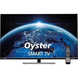 Ten Haaft Oyster Camping Smart-TV LED Fernseher 19 Zoll - Fernseher von Ten Haaft GmbH