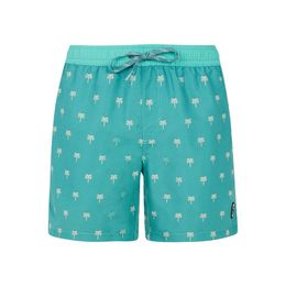 Protest Board Shorts 'PRTParco' male Green size XXL