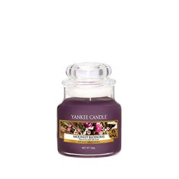yankee candle Duftkerze - Moonlit Blossoms - 104 g - 10% | Kerzen-vasen