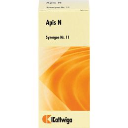 Kattwiga Synergon Komplex 11 Apis N Tropfen 50 ml